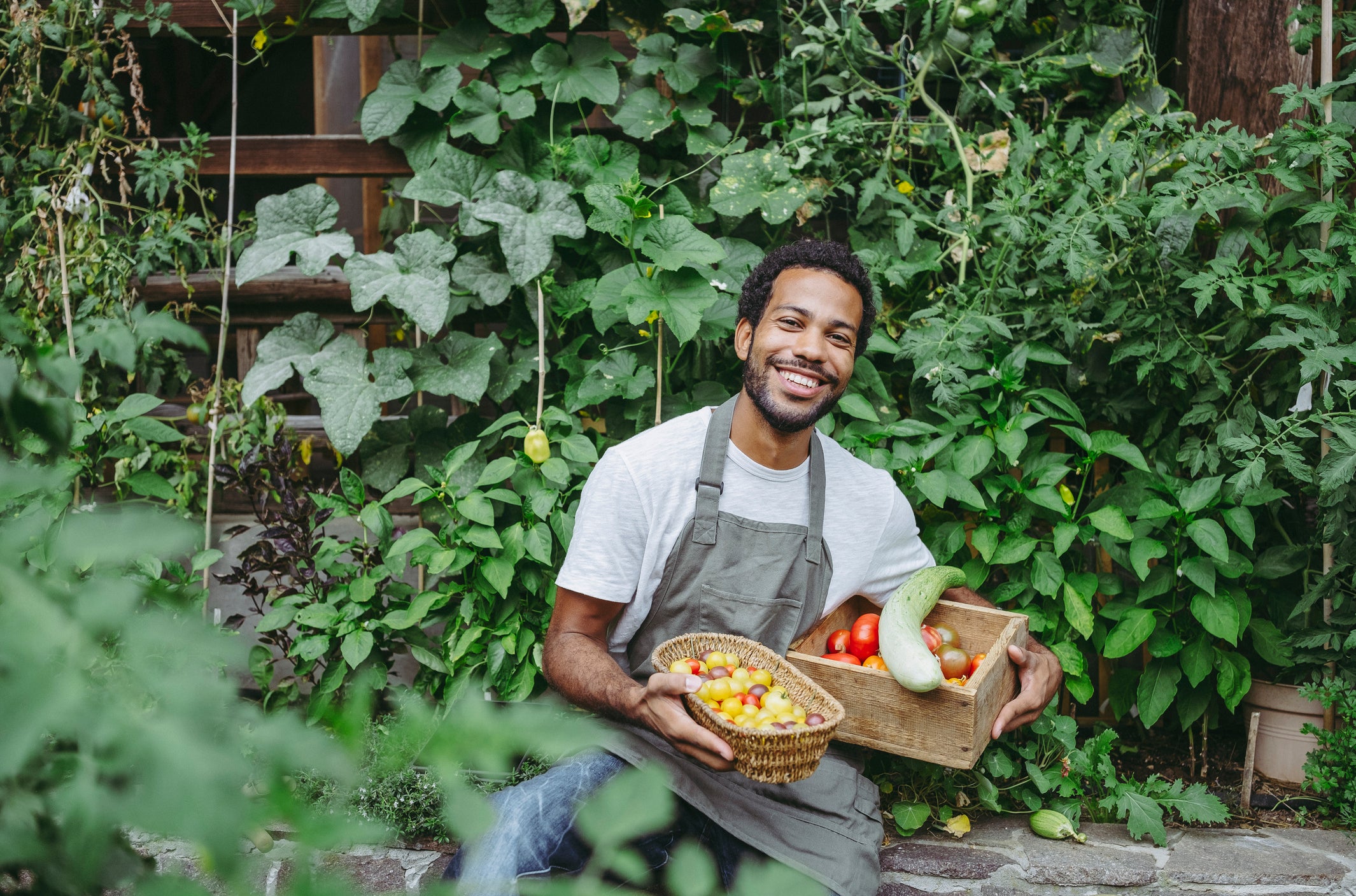 Organic Home Gardening: Benefits, Tools, and Easy-to-Grow Produce – Daitool