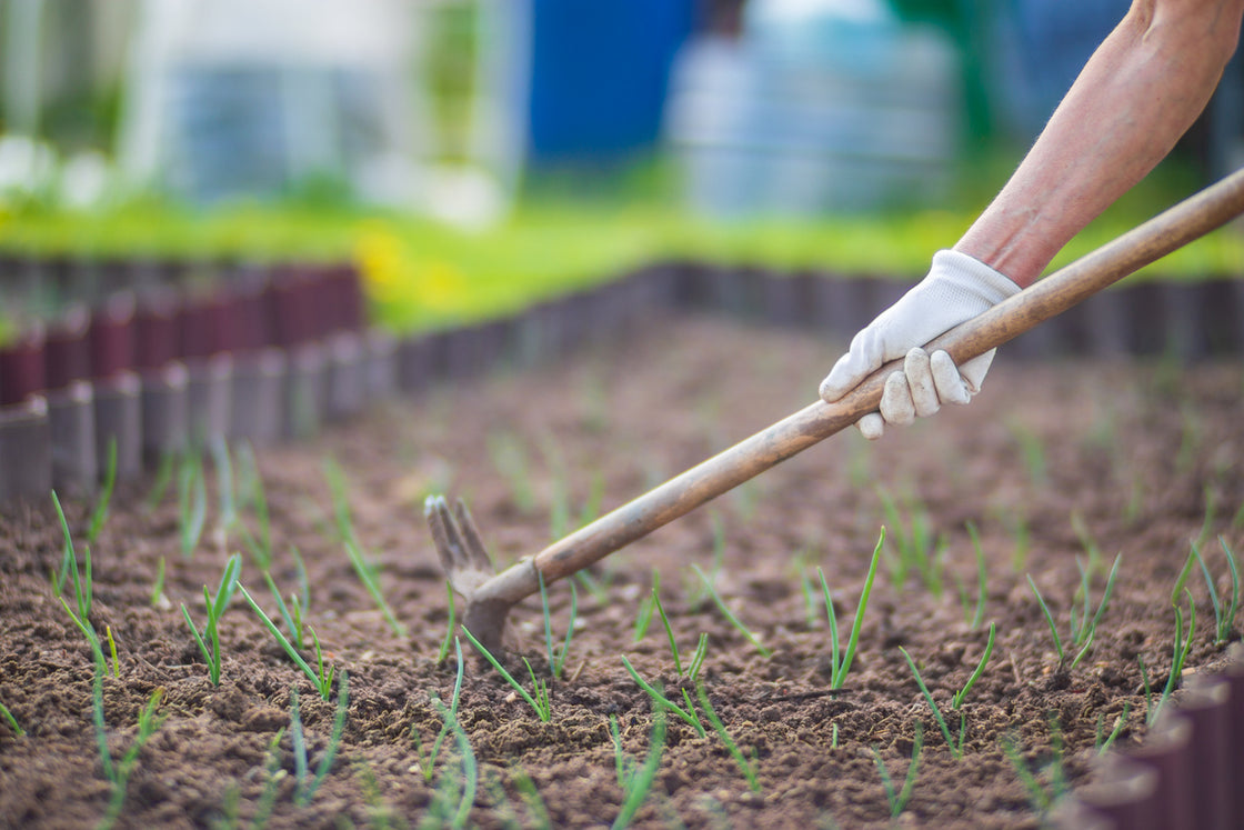 Top 4 Agricultural Hand Tools For Farms Or Home Gardens – Daitool