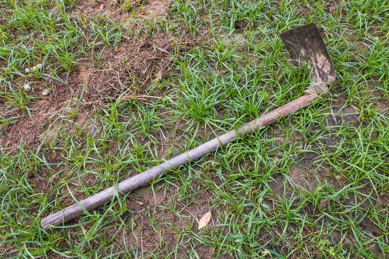 Types of Hoes: Gardening & Weeding – Daitool