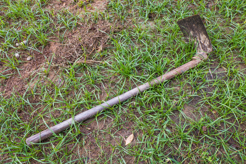 Types of Hoes: Gardening & Weeding