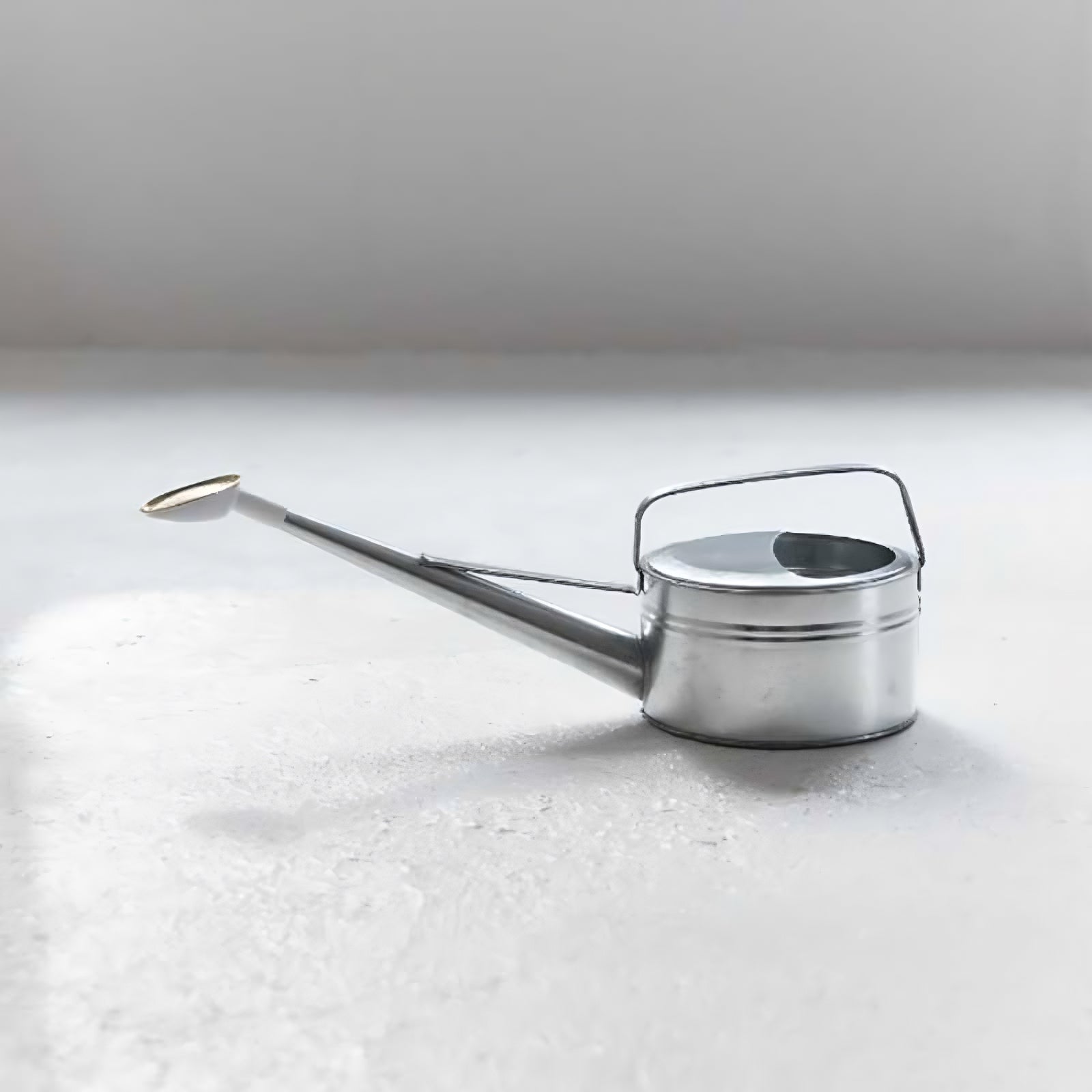 Buy Authentic Japanese Watering Cans Online