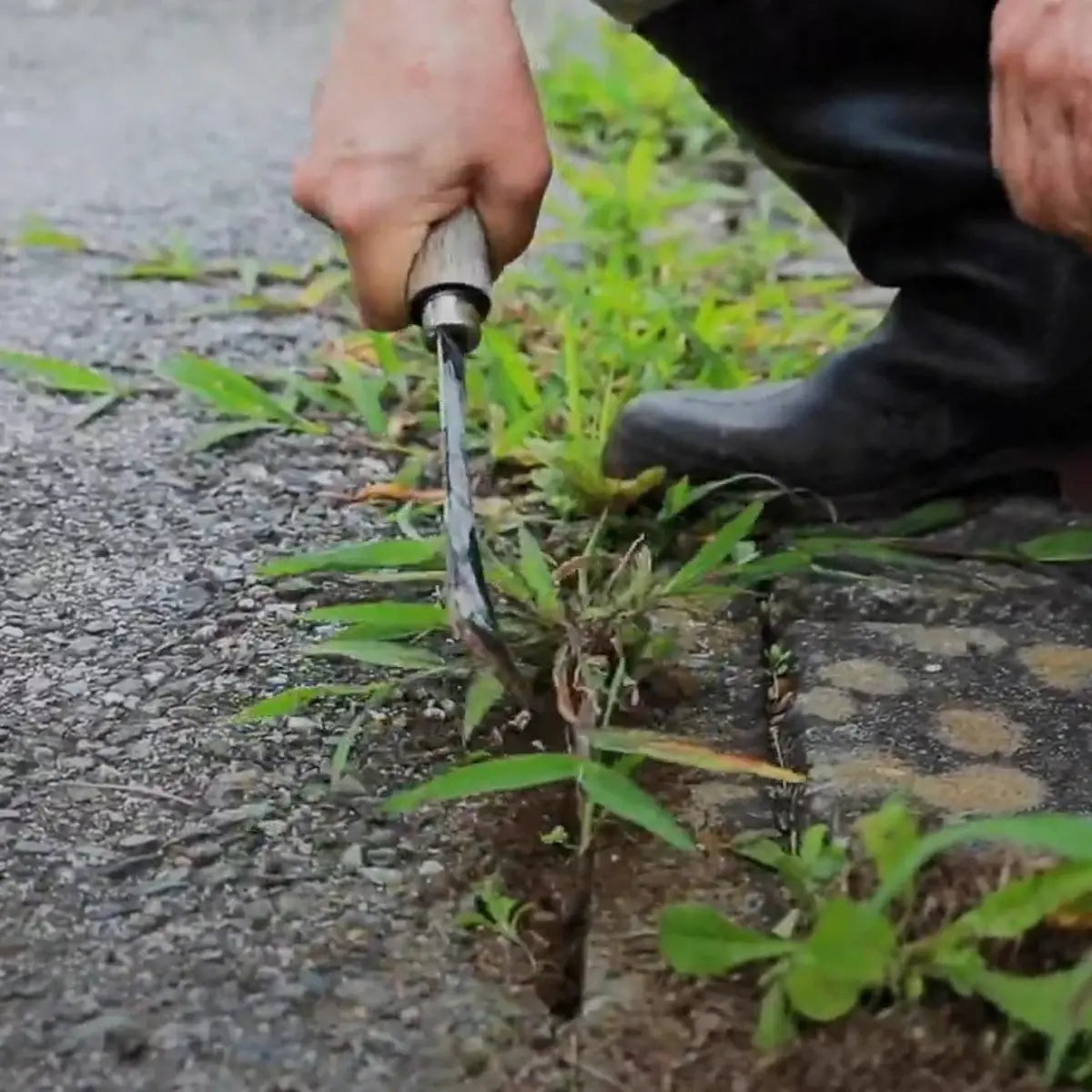 Kumagai Edging Tool For Weeding Between Pavers 31.5cm